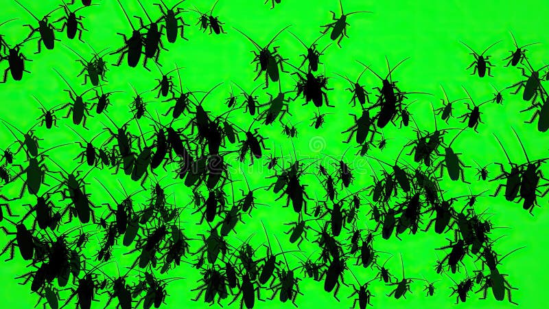 Bugs on Green Screen Silhouette Stock Illustration - Illustration of ...