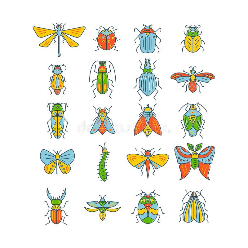 Bugs and Insects Isolated on White Background Stock Vector ...