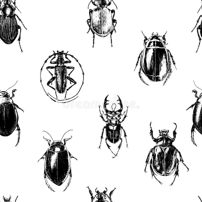 Line Bugs Cartoon Stock Illustrations – 796 Line Bugs Cartoon Stock ...