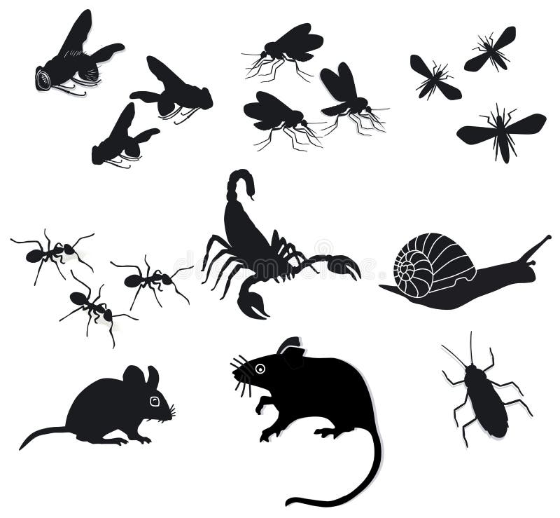 Vermin and pest control stock vector. Illustration of sting - 109664882