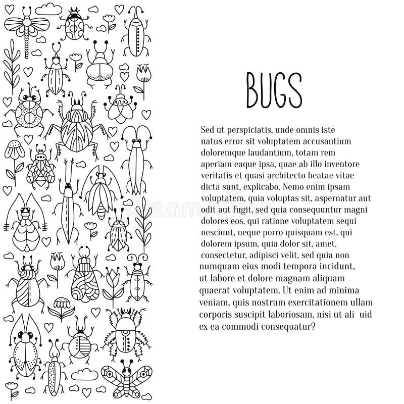Bugs Set Line Roe Border Design Stock Vector - Illustration of garden ...