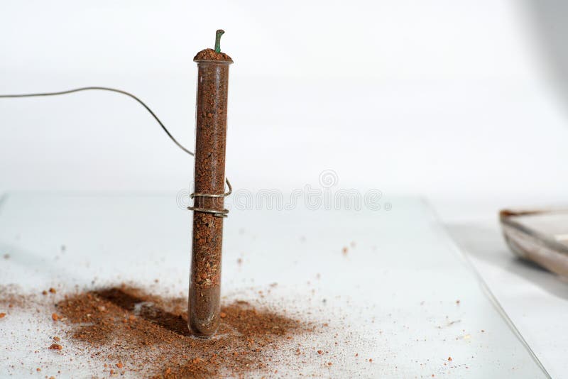 Build Fireworks Yourself in the Lab Stock Image - Image of cracker ...