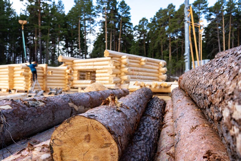 RF PCB Preparation for Assembly Stock Image - Image of pickandplace ...