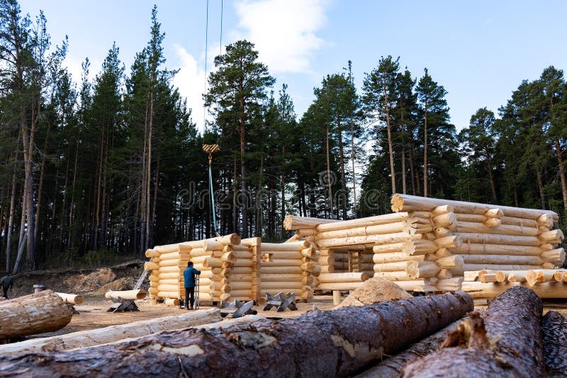 Build a House from Logs. Preparation of Logs for the Assembly of the ...