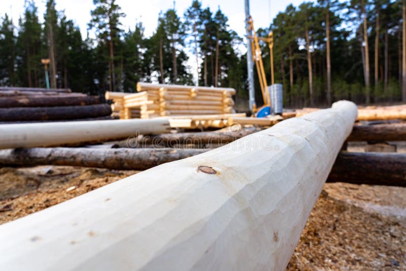 Build a House from Logs. Preparation of Logs for the Assembly of the ...