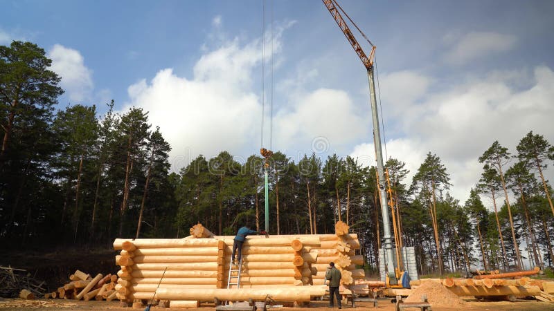 Build a House from Logs. Preparation of Logs for the Assembly of the ...