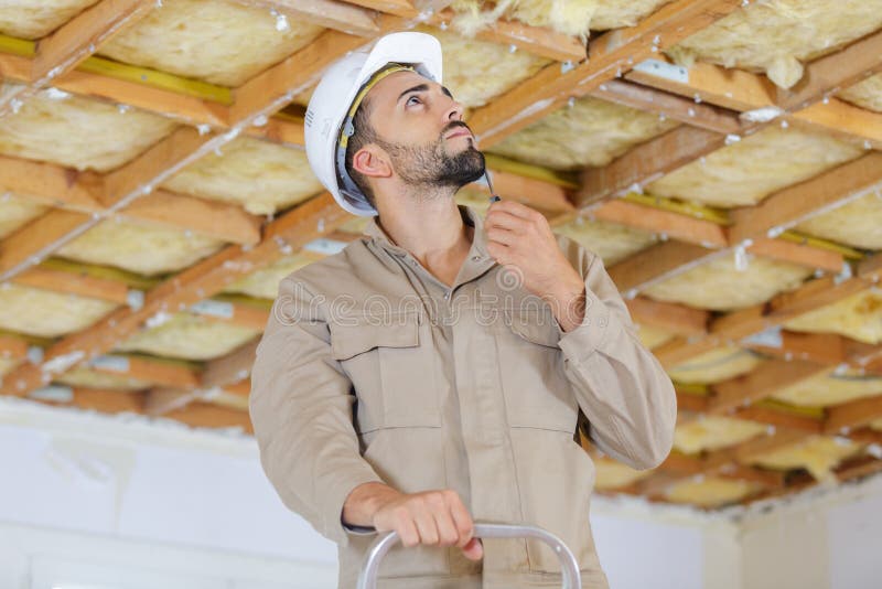 Builder on ladder stock photo. Image of ladder, isolated - 188227804