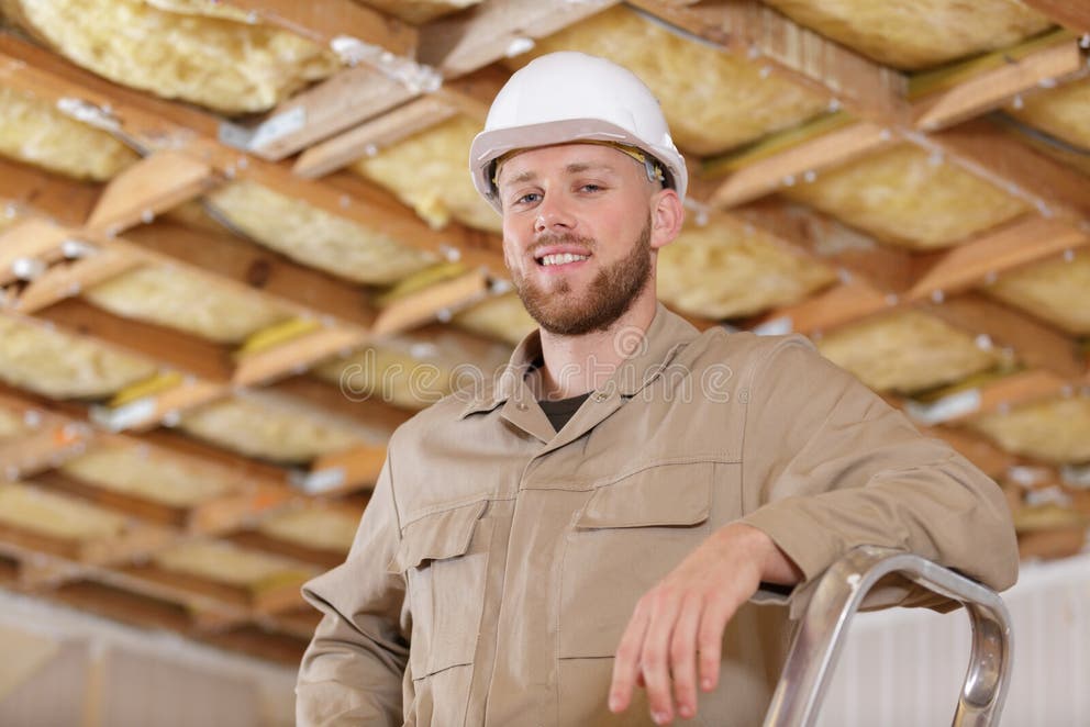 Builder on ladder stock photo. Image of repair, house - 258548136