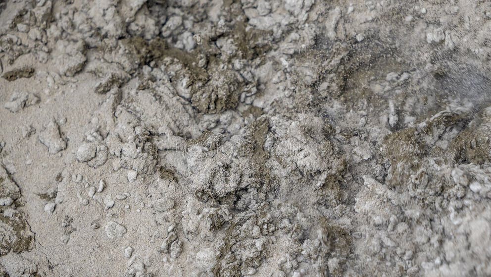 The Builder Mixes the Construction Mixture in a Container for Guiding ...