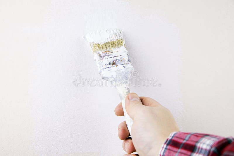 The Builder Paints the Wall with White Paint. the Painter Holds a Brush ...