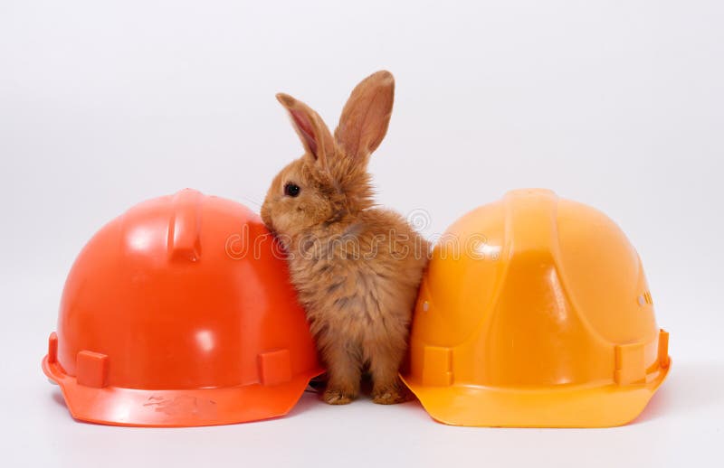 Builder S Day, Symbol of the Year Easter Bunny in a Construction Helmet ...