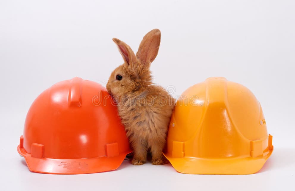 Builder S Day, Symbol of the Year Easter Bunny in a Construction Helmet ...