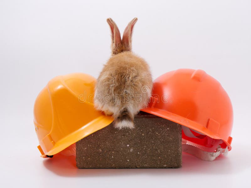 Builder S Day, Symbol of the Year Easter Bunny in a Construction Helmet ...
