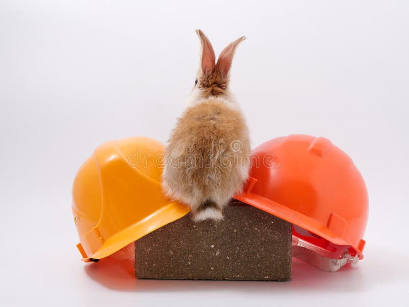 Builder S Day, Symbol of the Year Easter Bunny in a Construction Helmet ...