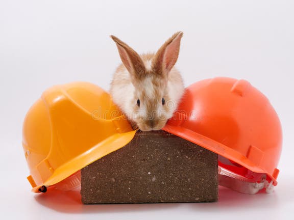 Builder S Day, Symbol of the Year Easter Bunny in a Construction Helmet ...