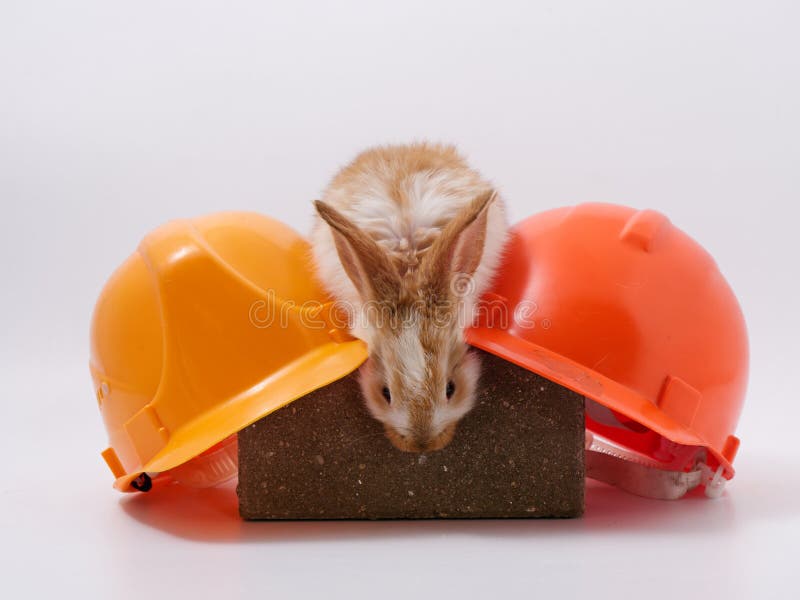 Builder S Day, Symbol of the Year Easter Bunny in a Construction Helmet ...