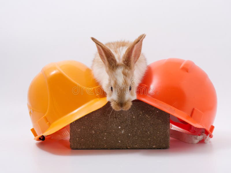 Builder S Day, Symbol of the Year Easter Bunny in a Construction Helmet ...