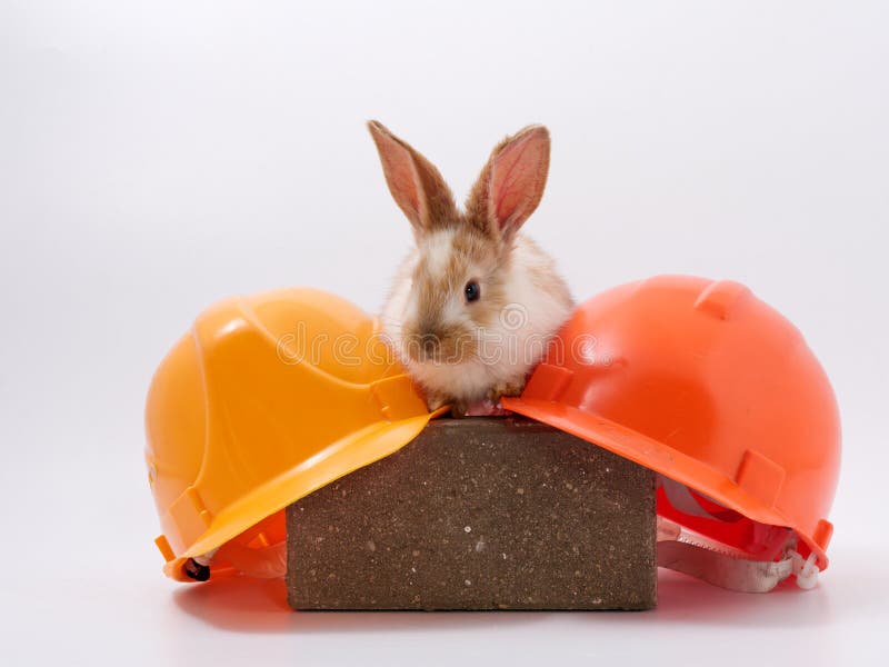 Builder S Day, Symbol of the Year Easter Bunny in a Construction Helmet ...
