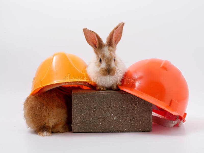 2,082 Easter 2023 Background Stock Photos - Free & Royalty-Free Stock ...