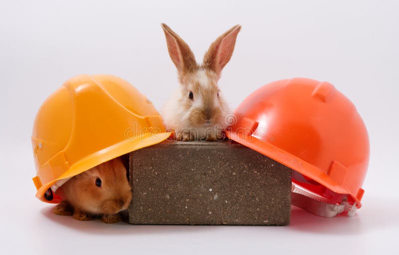 Builder S Day, Symbol of the Year Easter Bunny in a Construction Helmet ...