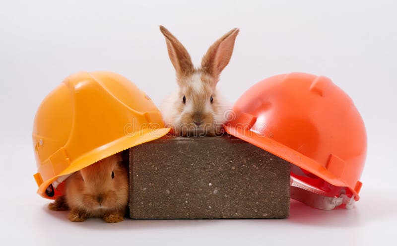 2,157 Easter 2023 Background Stock Photos - Free & Royalty-Free Stock ...