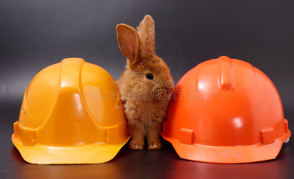 Builder S Day, Symbol of the Year Easter Bunny in a Construction Helmet ...