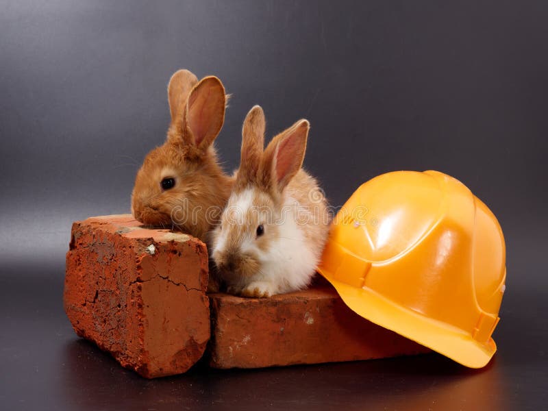 2,157 Easter 2023 Background Stock Photos - Free & Royalty-Free Stock ...