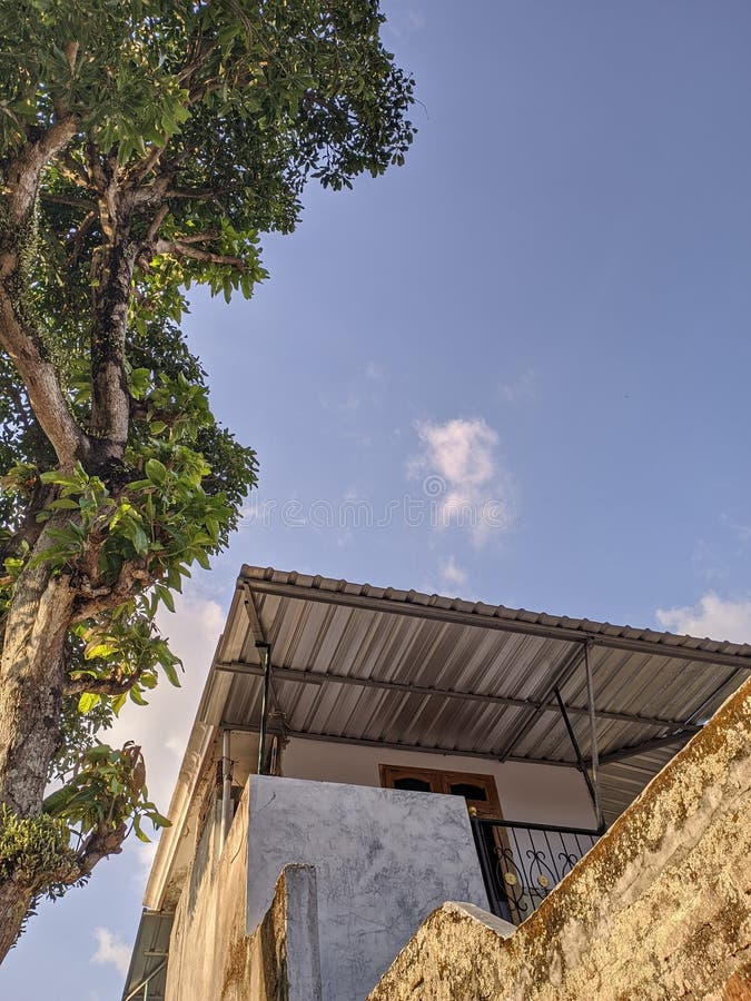 Building Aesthetics in the Afternoon Stock Image - Image of plant, roof ...