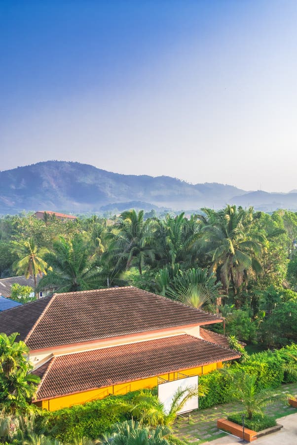 Building Amongst Palm Trees . Stock Photo - Image of thai, palm: 42125620