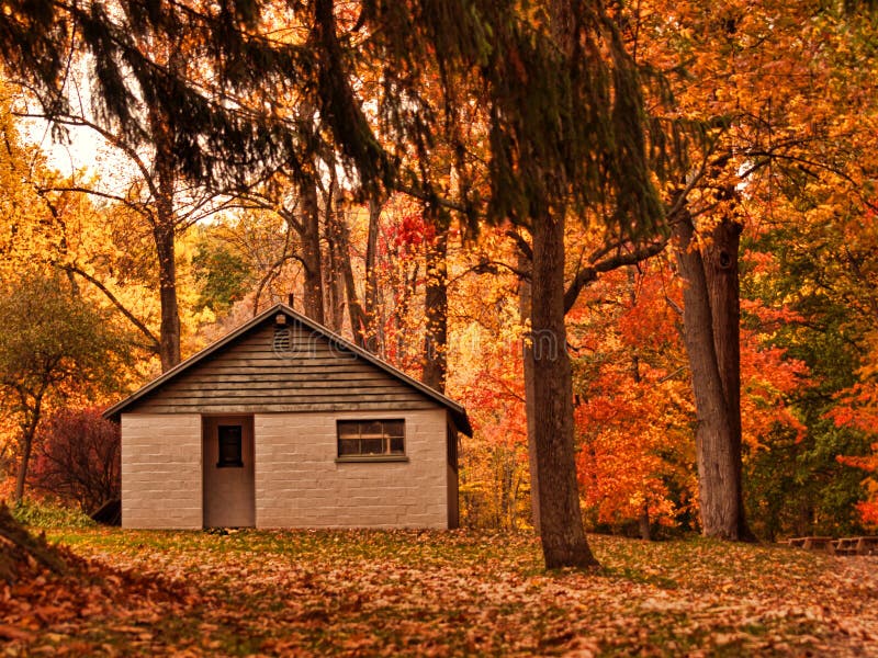 Building in autumn woods stock image. Image of trees - 31767545