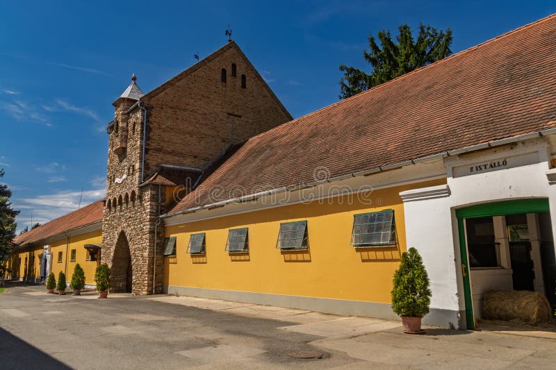 Babolna Stud Stock Photos - Free & Royalty-Free Stock Photos from ...