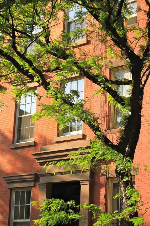 Building behind a tree stock photo. Image of rural, building - 21419148