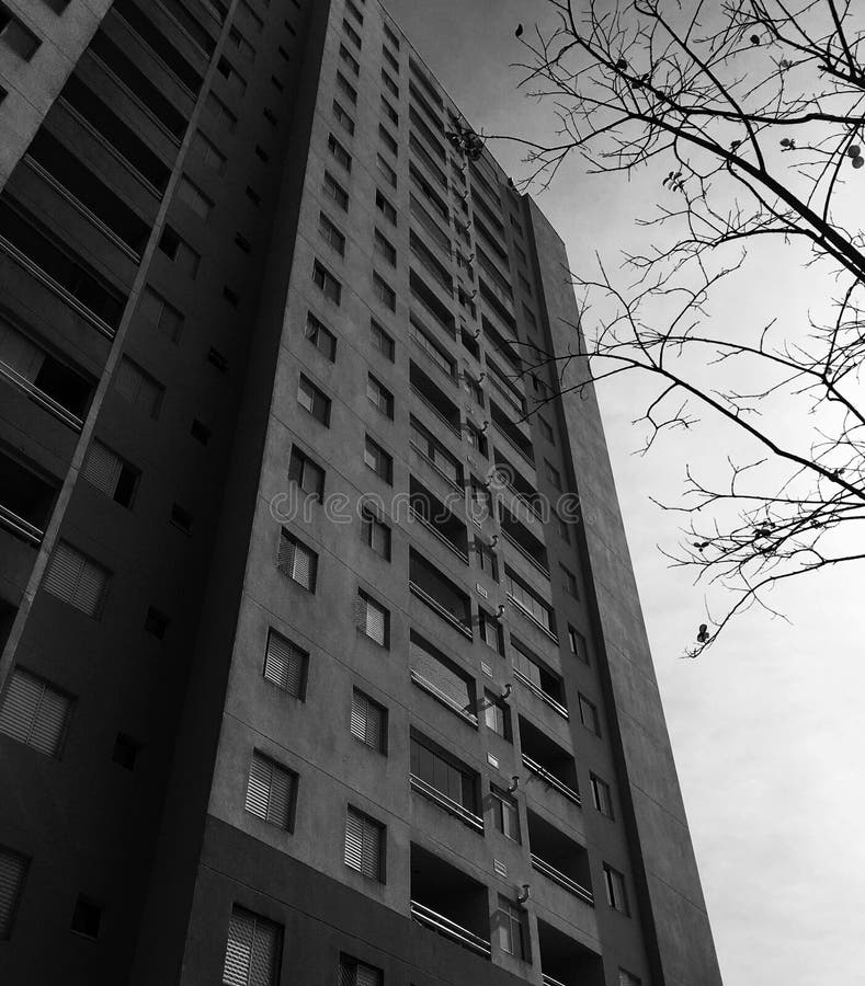 Building black and white stock image. Image of building - 149537581