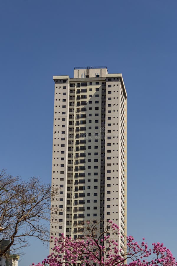 A Building between Branches of Trees. Stock Image - Image of engineer ...