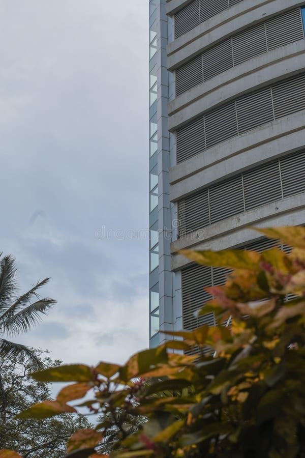 Building Facade Behind Leaves Stock Image - Image of structure, outdoor ...