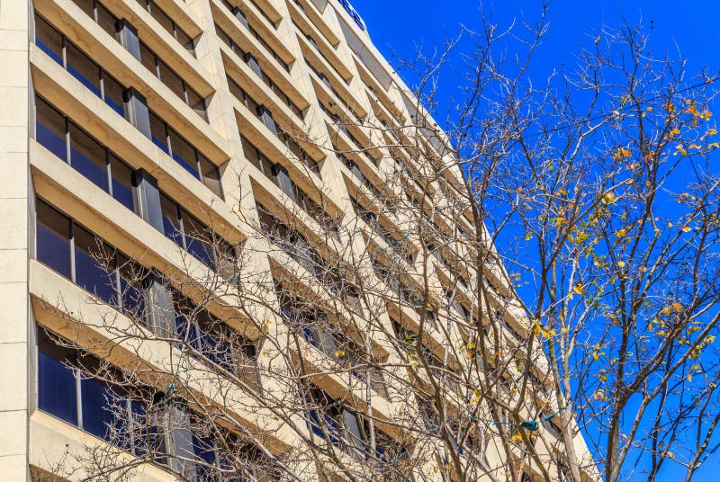 Building Facade with Tree Foreground Stock Image - Image of foreground ...