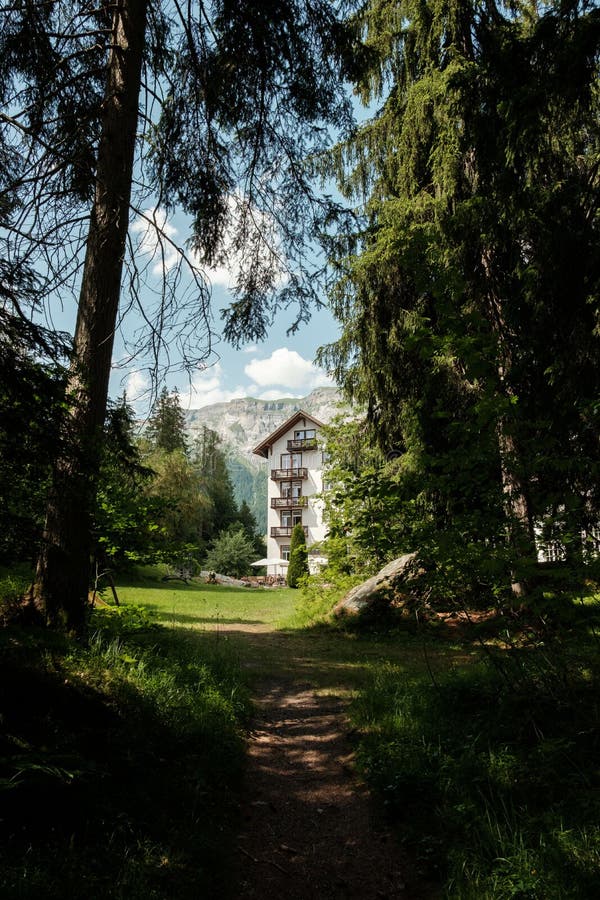 Building in Forest Surrounded by Dense Trees in Flims Editorial Stock ...