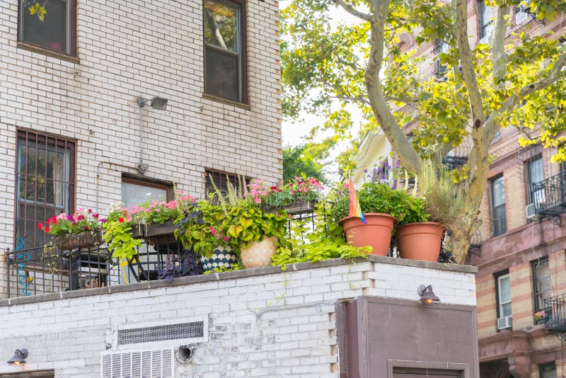 Building Green Environment in New York Stock Photo - Image of cityscape ...