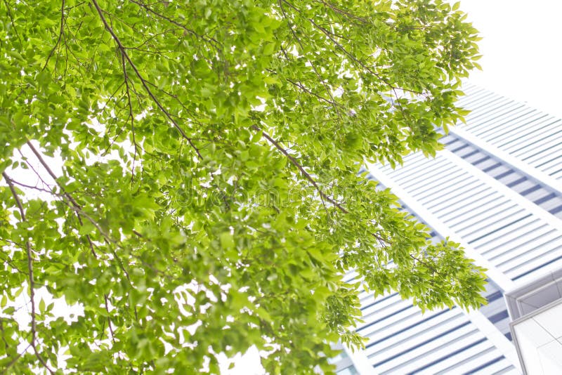 Business Grow, New Construction Concept Stock Photo - Image of ...