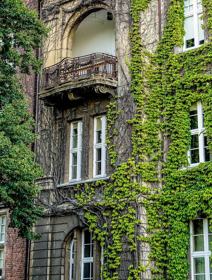 A Building with Ivy Growing on it Stock Photo - Image of house, foliage ...