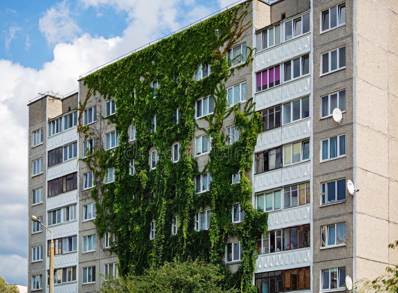Building with ivy stock photo. Image of environment - 301037306