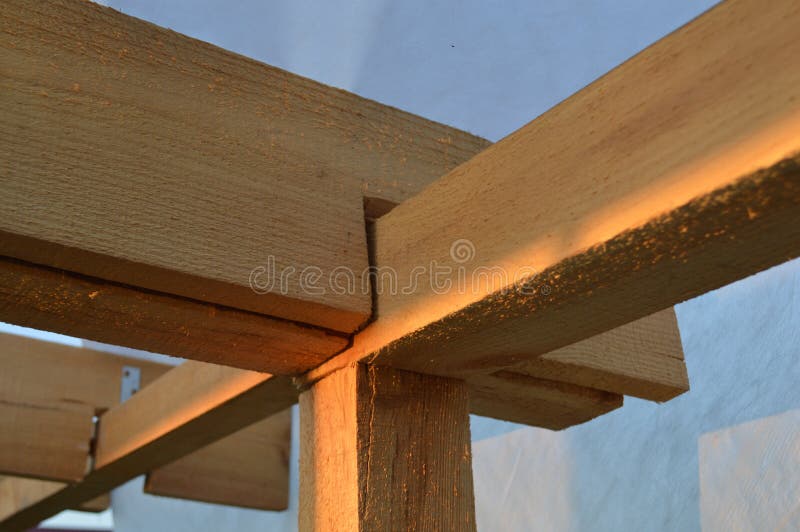 Building Knots and Designs from a Tree, Fastening of a Framework Stock ...