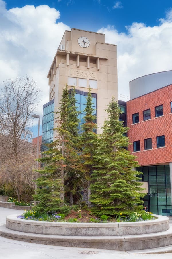 Building Labeled Library with Pine Trees in a Planter Box Stock Image ...