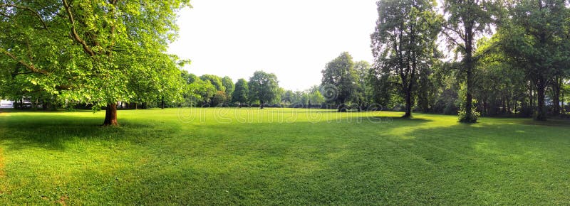 Building Land for New Construction Project on Green Meadow, Plot for ...