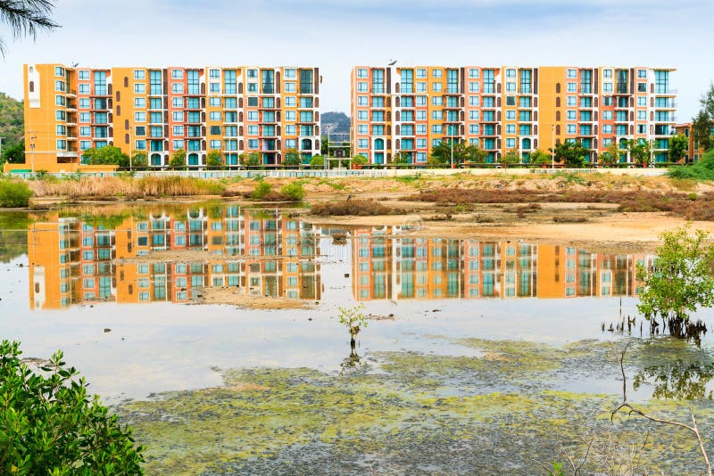Building and Mangrove Forest Stock Photo - Image of shadow, brown: 88662682