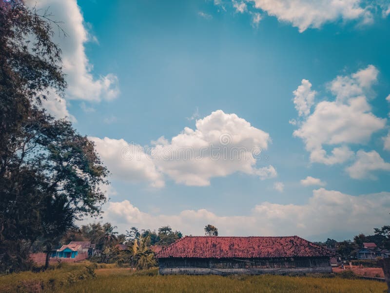 Building in the Middle of Farm Stock Image - Image of agrotechnology ...