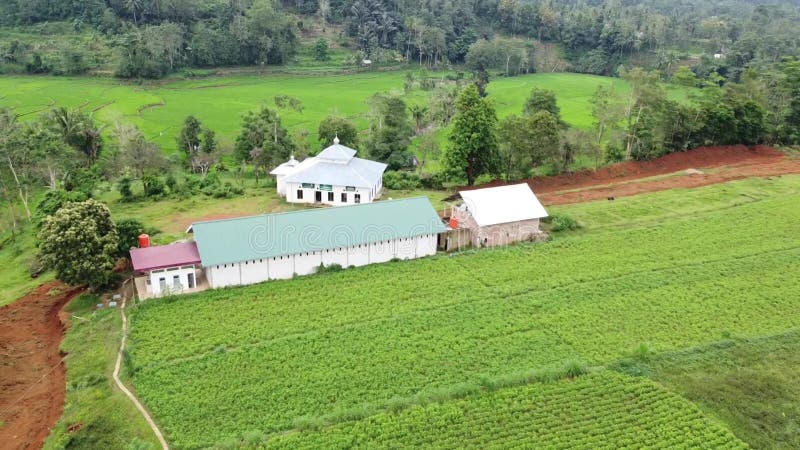 Building in the Middle of Plantations and Rice Fields Stock Footage ...