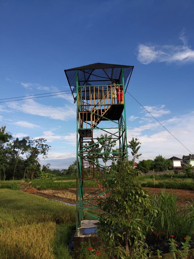 Building in the Middle of Rice Fields Stock Image - Image of tower ...