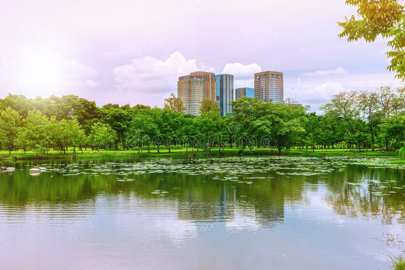 Building in nature stock photo. Image of center, closeup - 43849606