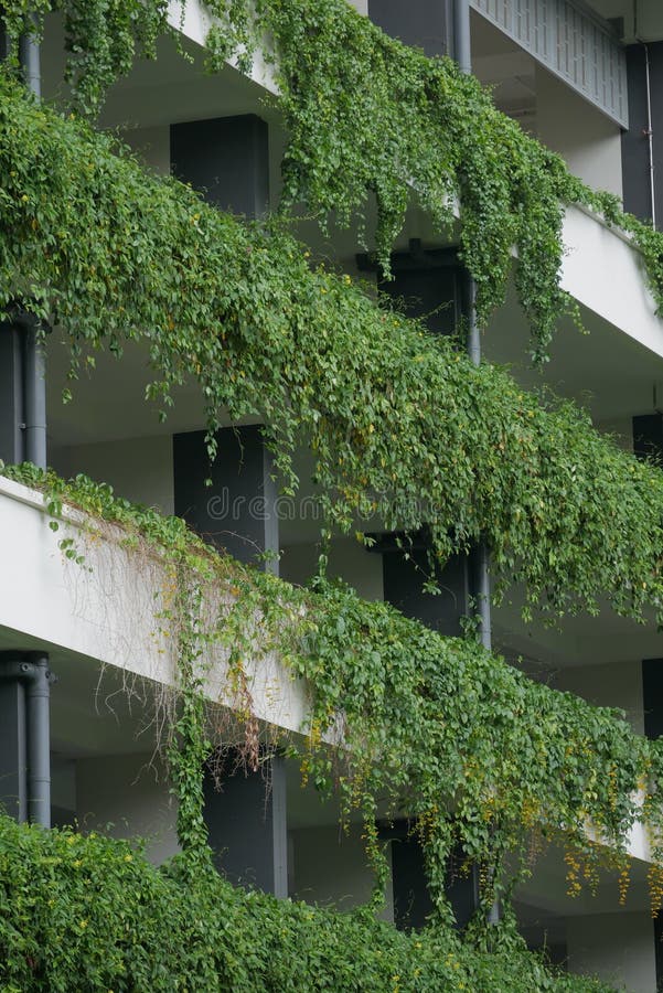 Building with Plants Growing on the Facade Stock Image - Image of ...